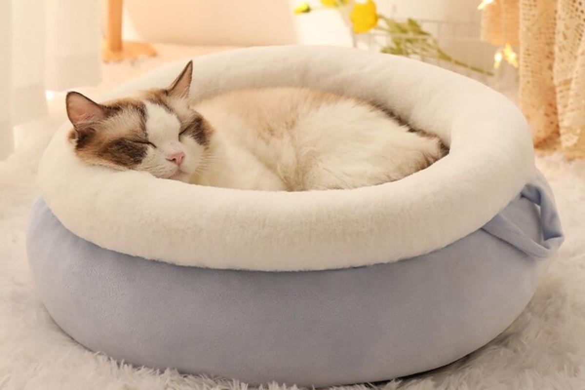 Meilleur Lit pour chat | Jouets interactifs pour chat – chat doux