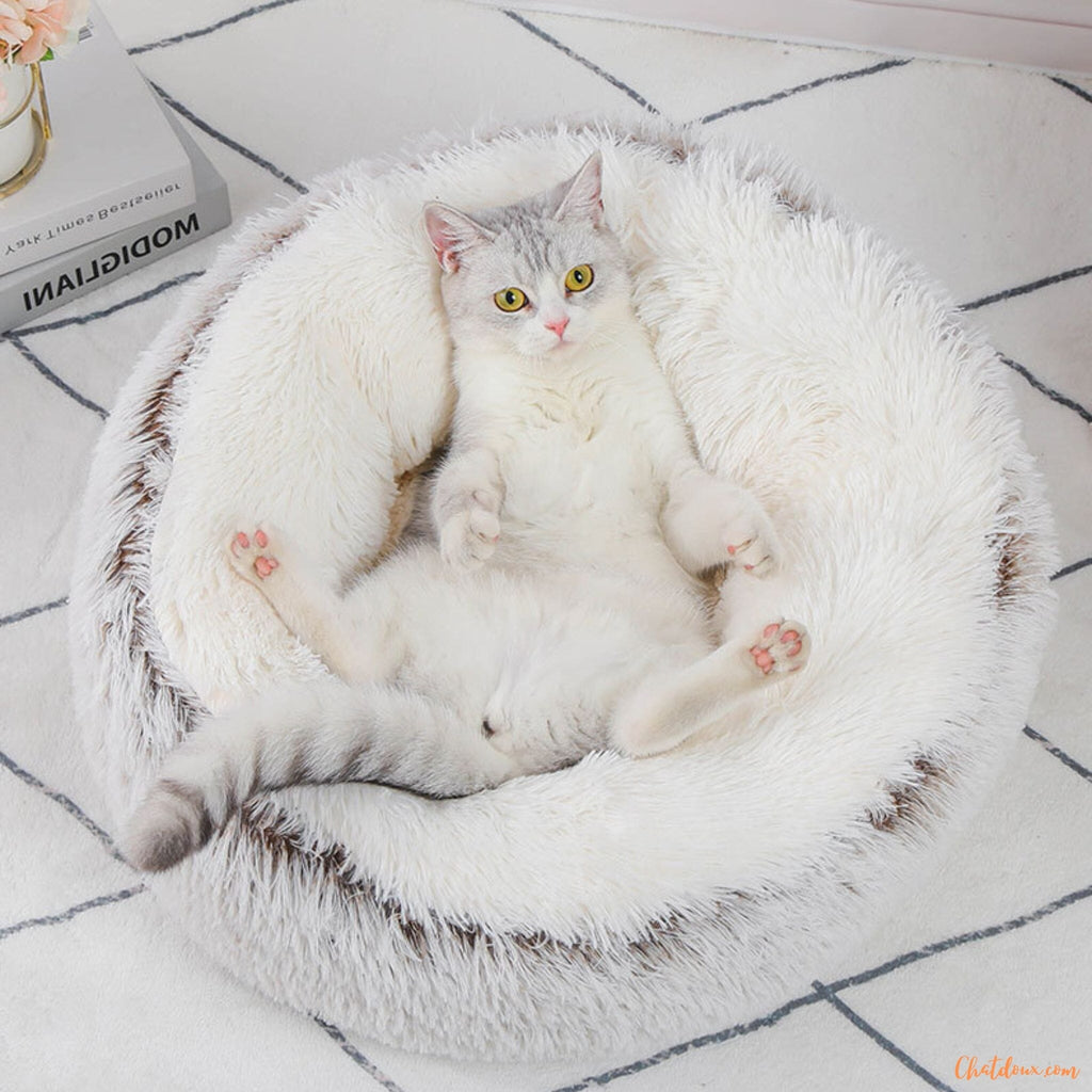 Coussin chat | DouxNuage™ – chat doux