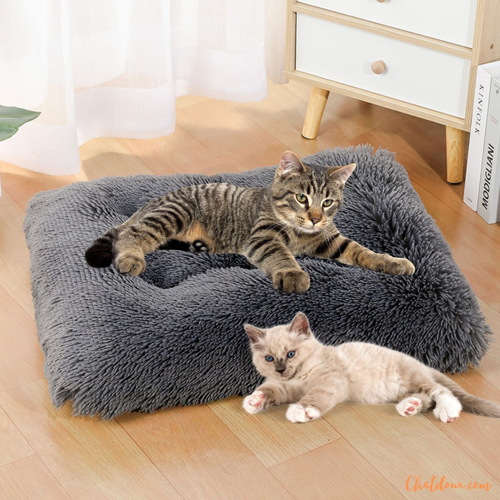 Lit pour chat | PinKat – chat doux