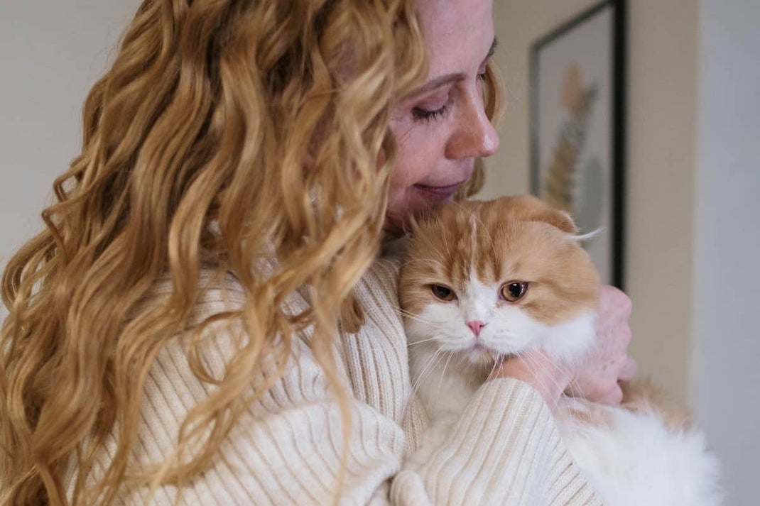 Meilleur Lit pour chat | Jouets interactifs pour chat – chat doux