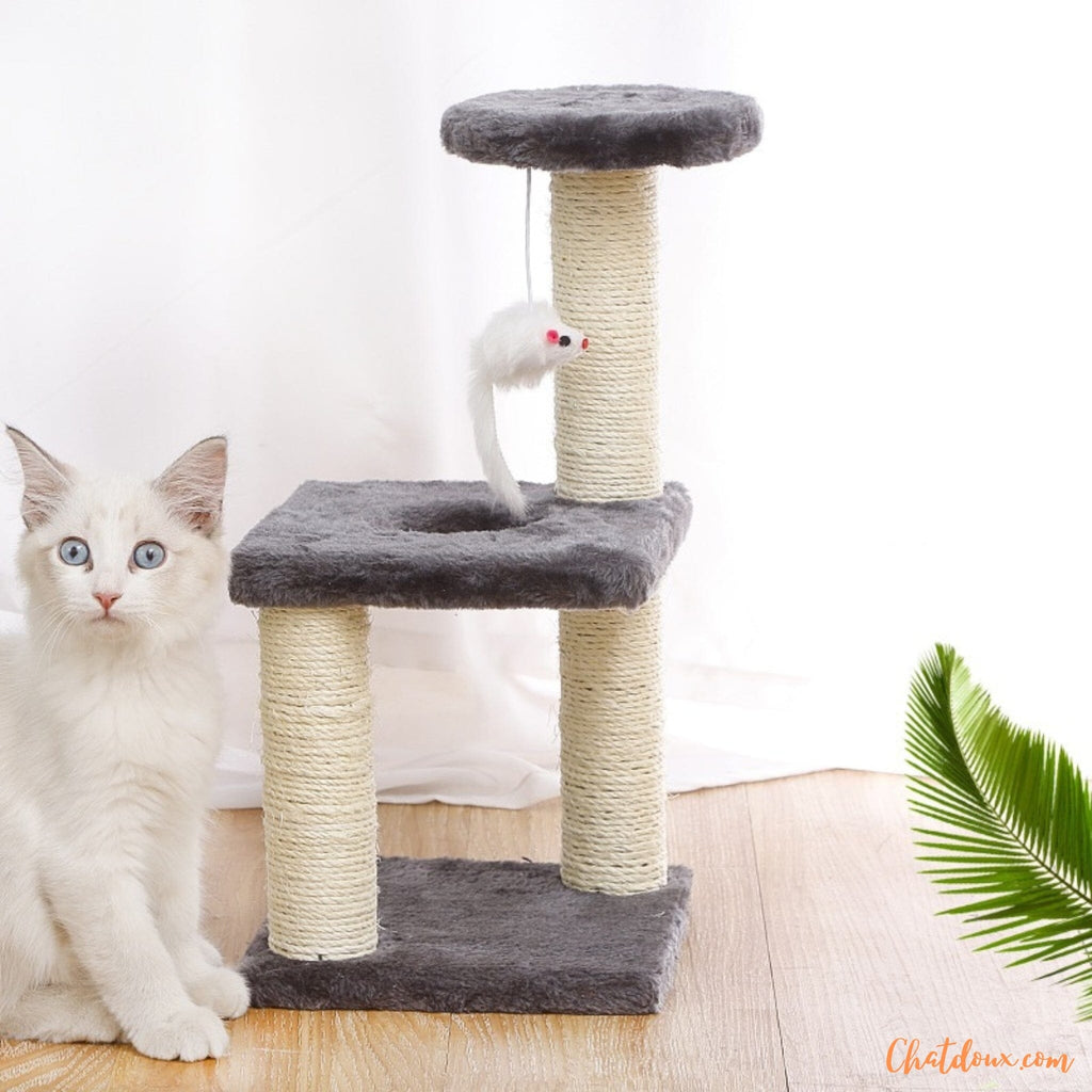 Petit arbre a chat | Doty™ – chat doux