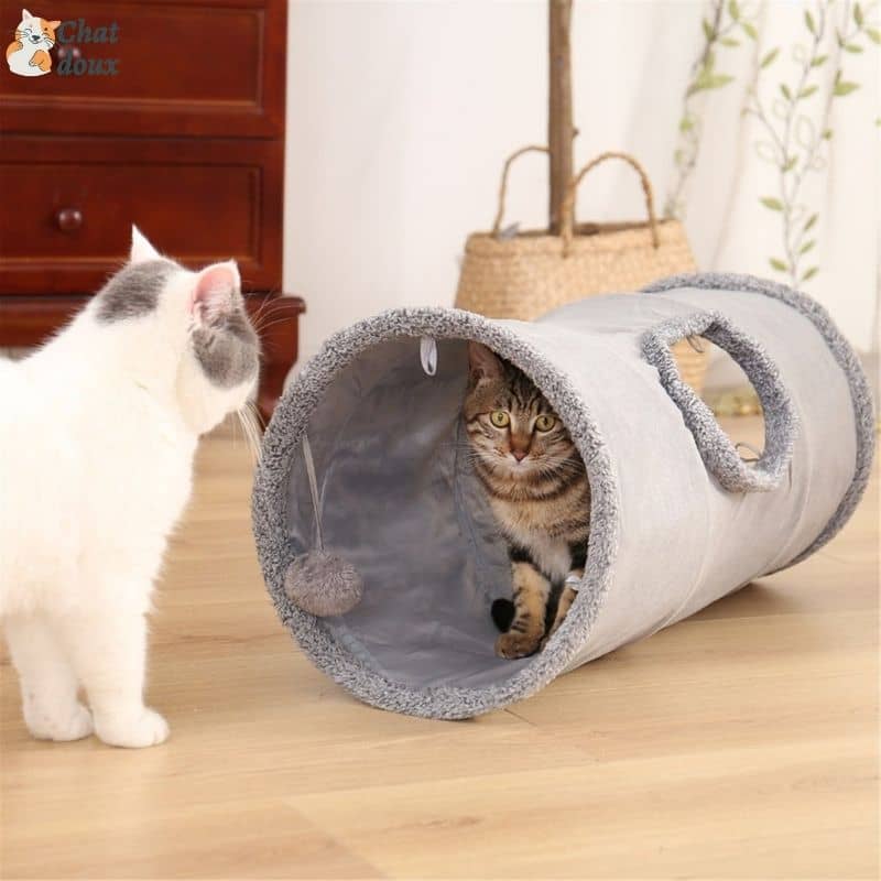 tunnel pour chat | jouet chat – chat doux